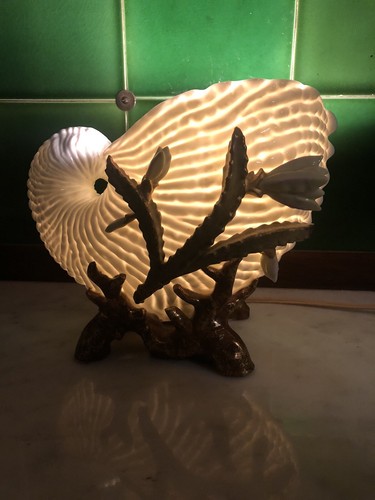 Antique Porcelain Nautilus Shell Accent Lamp | eBay