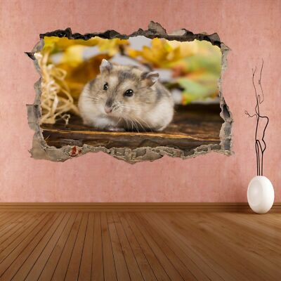 Pet Hamster Animal 3D Wall Sticker Mural Decal Kids Room Home Decor ...