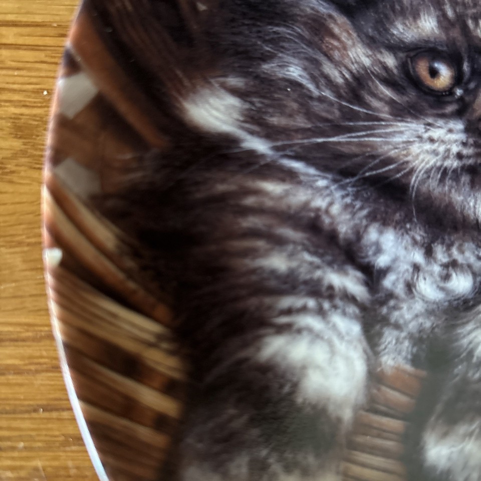 1993 Isakov Baskets of Love #6 "Katie & Kelly" LH Fold & Orange Tabby ...