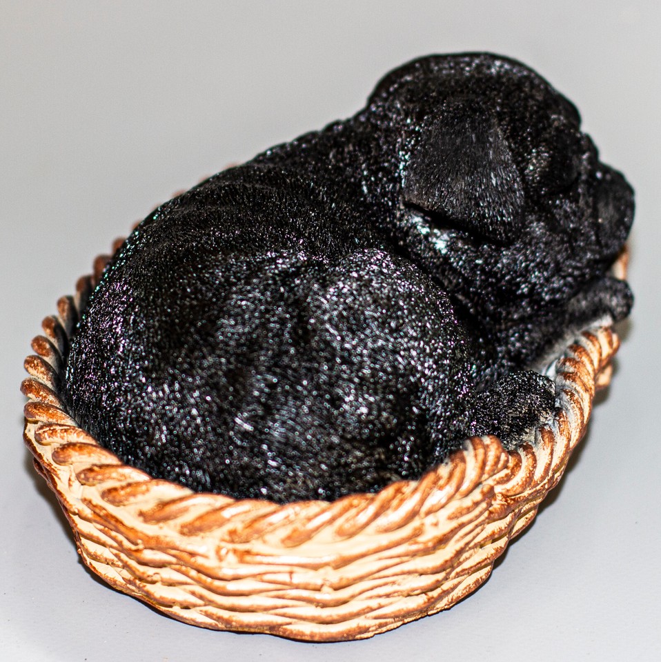 Black Pug Pet Memorial Keepsake Sleeping Dog Animal Grave Decor Garden ...