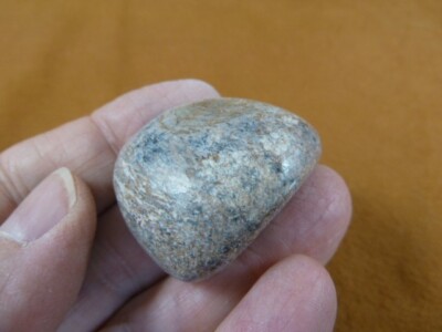 DF485-24 Fossil REAL DINOSAUR Bone pebble Atlasaurus Jurassic Dino ...
