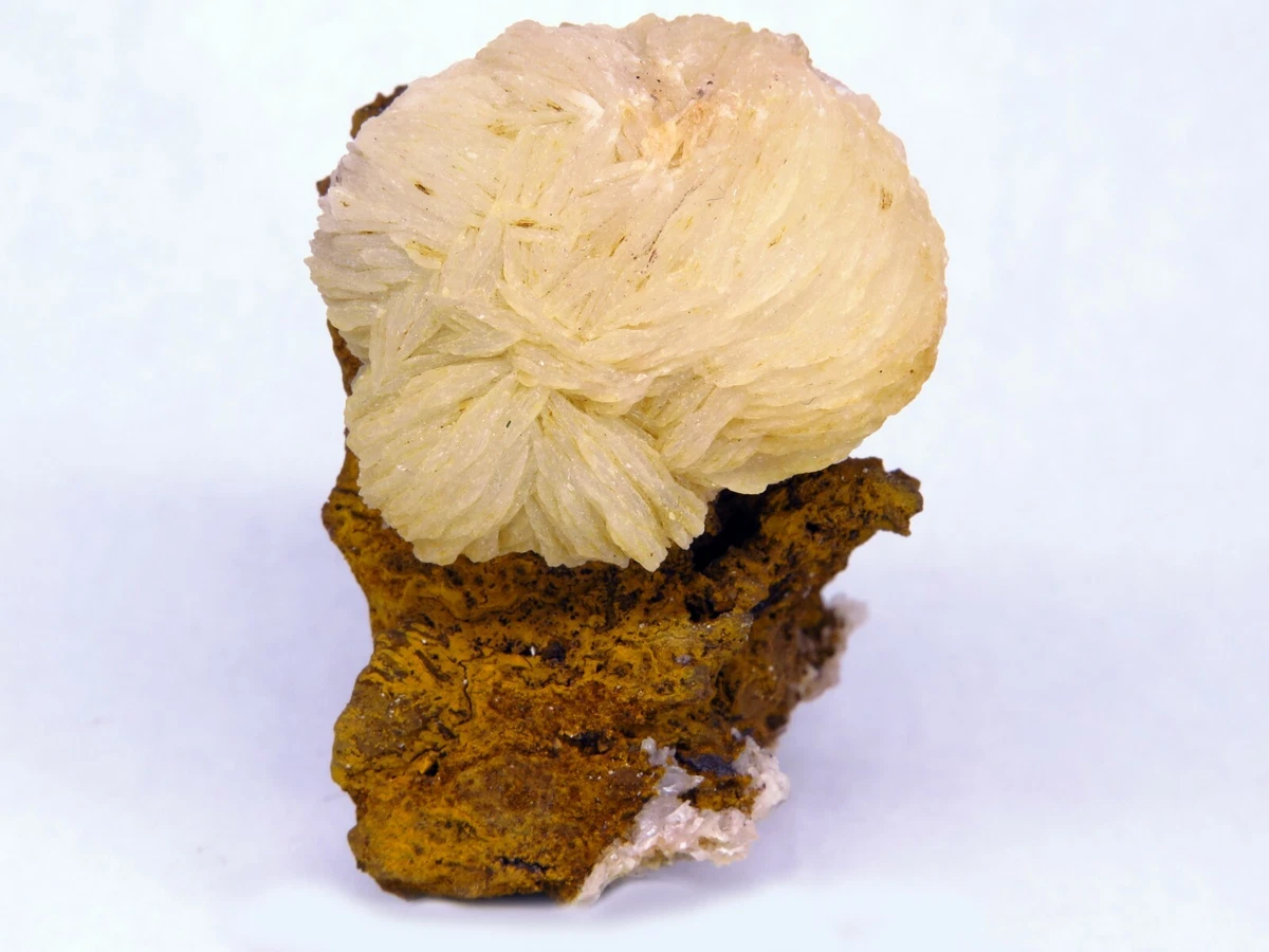 Botryoidal Siderite