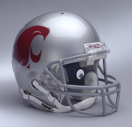 WASHINGTON STATE COUGARS Schutt XP Full Size AUTHENTIC Gameday Football ...