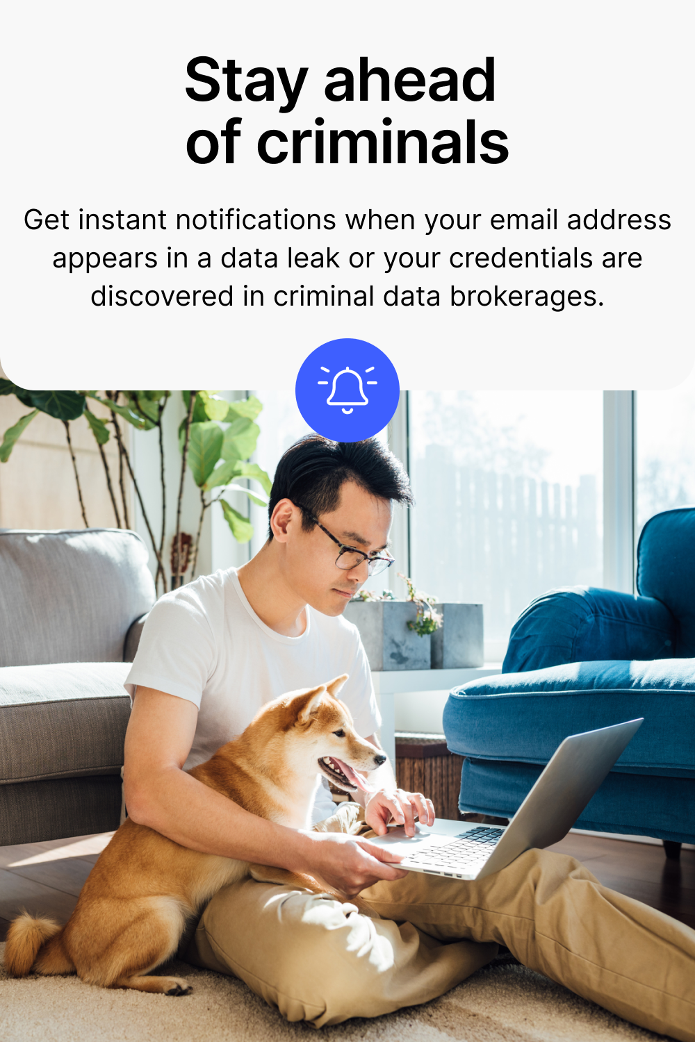 NordVPN Complete — 1-Year VPN & Cybersecurity Software Bundle ...