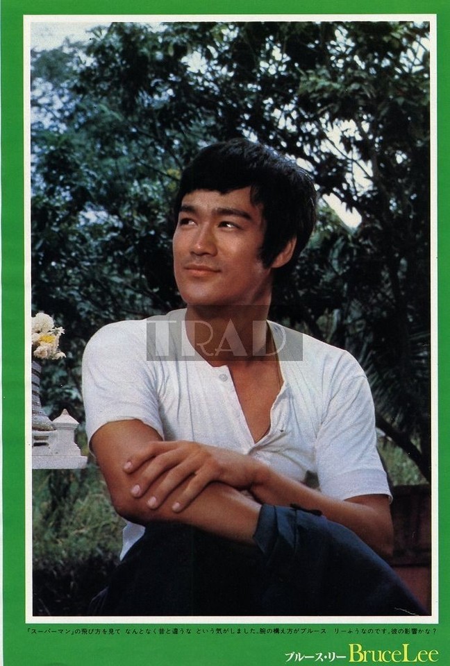 LINDSAY WAGNER / BRUCE LEE 1979 JPN Picture Clipping 8x11.6 #tj/t | eBay