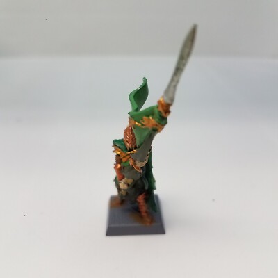 Warhammer AoS - Wood Elf ETERNAL GUARD STANDARD BEARER 1x Model Built ...