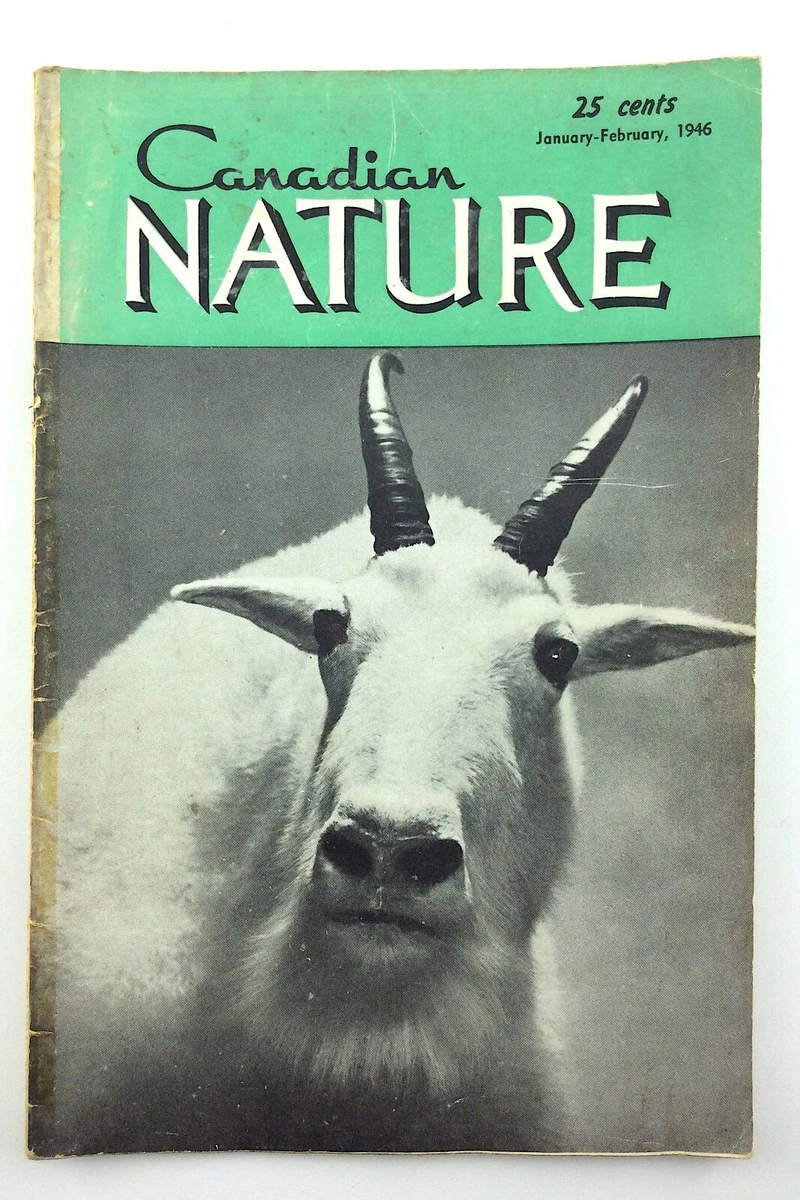 Vintage Naturalist Magazines Junior