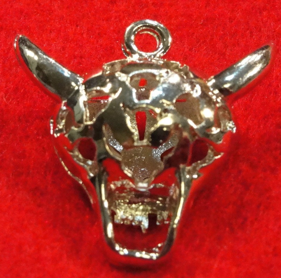 2Pcs. Tibetan Silver-Plated Large HALLOWEEN SKULL Devil Charms Pendants ...