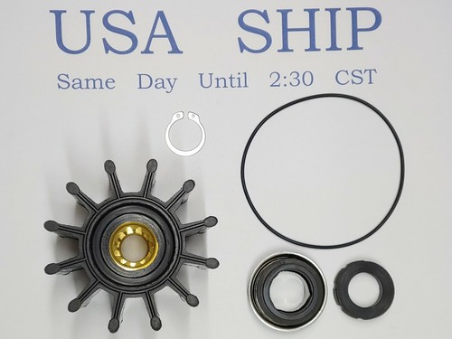 Minor Repair Kit for Sherwood Pumps P2701-01 P2701X P2702-01 P2703-01 ...