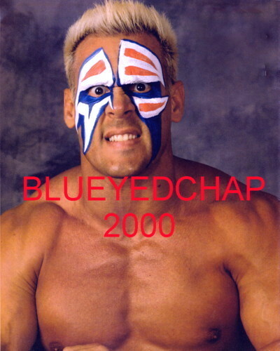 Sting Face Paint Designs