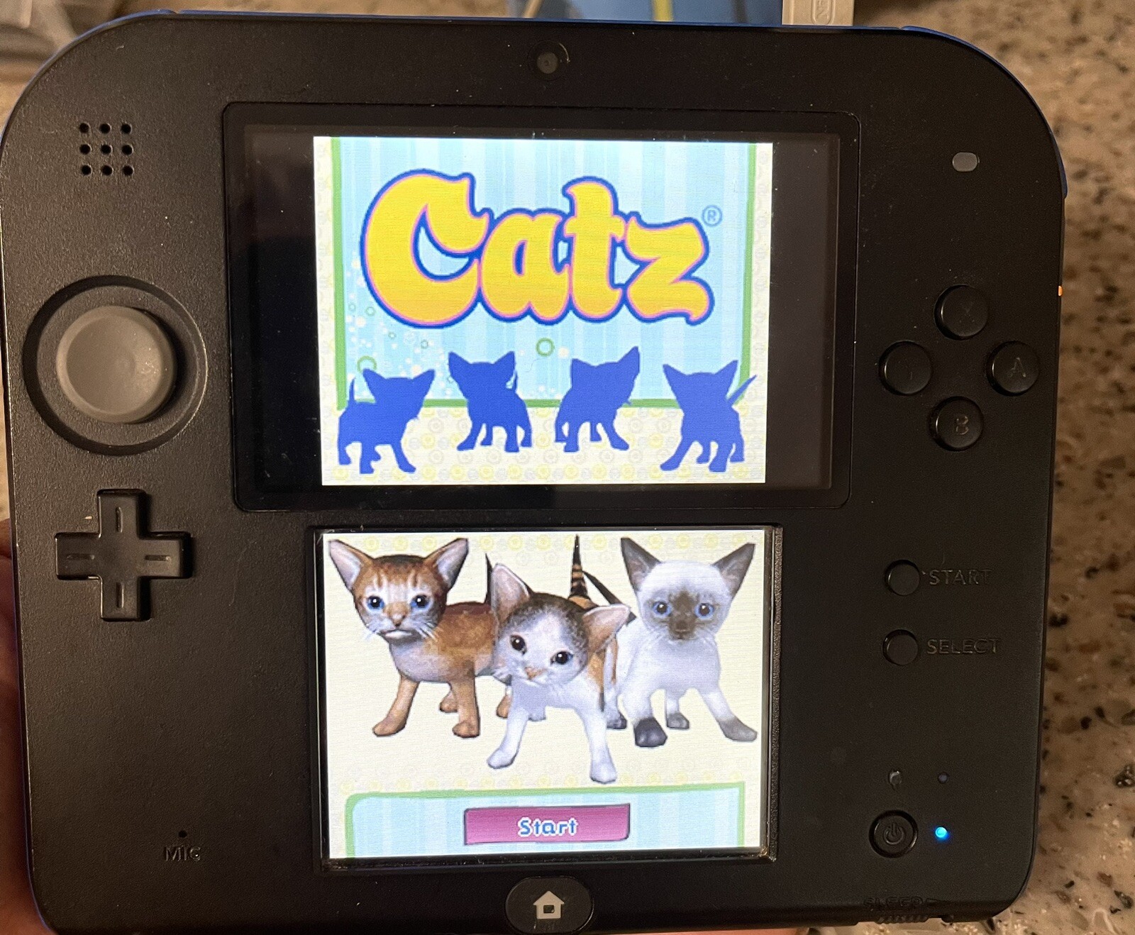 Catz - Nintendo DS Game Cartridge Only (Rated E)- TESTED 8888163206| eBay
