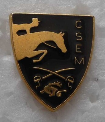PIN'S MILITAIRE DU CENTRE SPORTIF D'EQUITATION MILITAIRE (CSEM) | eBay