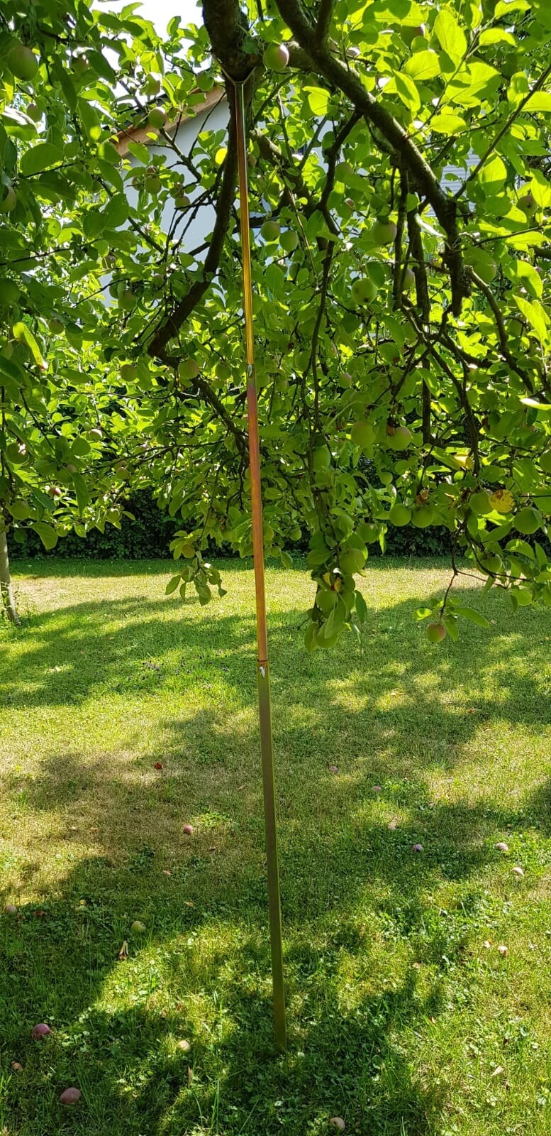 Aststütze AUS V2A Obstbaumstütze Teleskop Asthalter Astgabel ...