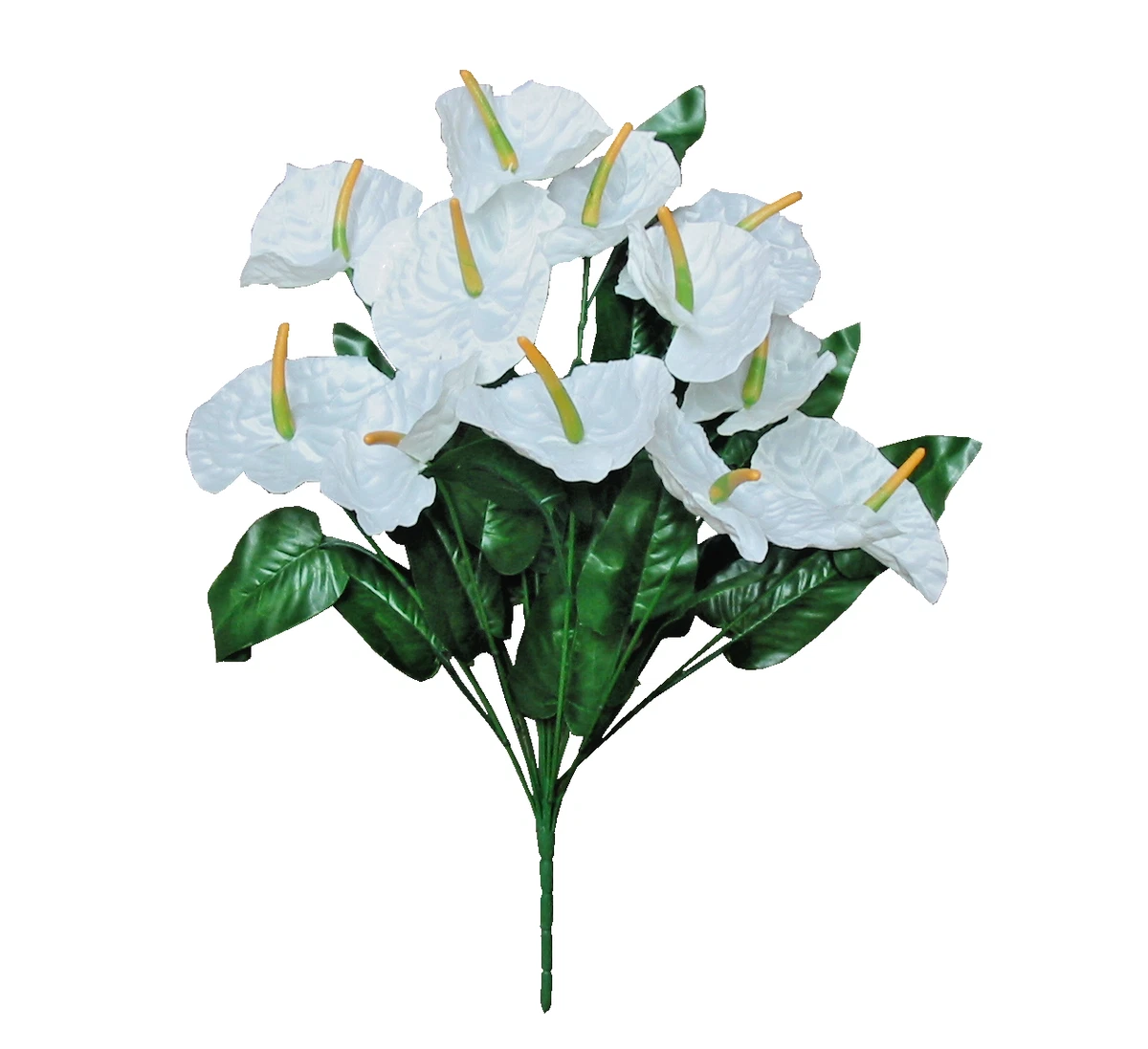 White Anthurium Bouquet