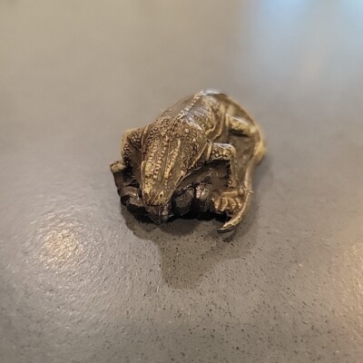 Monitor Lizard #29 Underdark Dungeons & Dragons Miniature | eBay