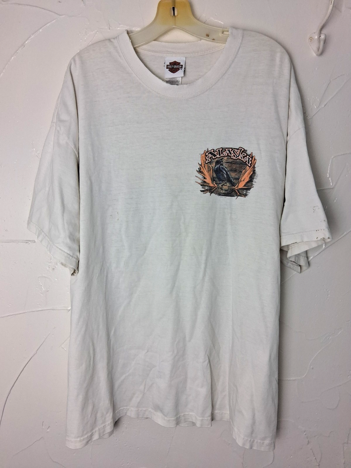 Vintage Y2K Thrashed Harley Davidson T Shirt USA Alaska Size XXL Grunge ...