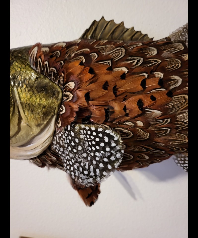 Bass Fish Mounted Wall Mount Taxidermy Display Realistic Bass Fish Home ...