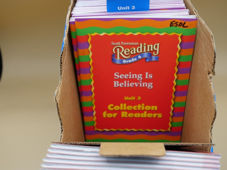 35 SCOTT FORESMAN READING GRADE 4 SEEING IS BELIEVING UNIT 1 2 3 4 5 ...