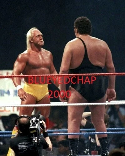 Andre The Giant And Hulk Hogan