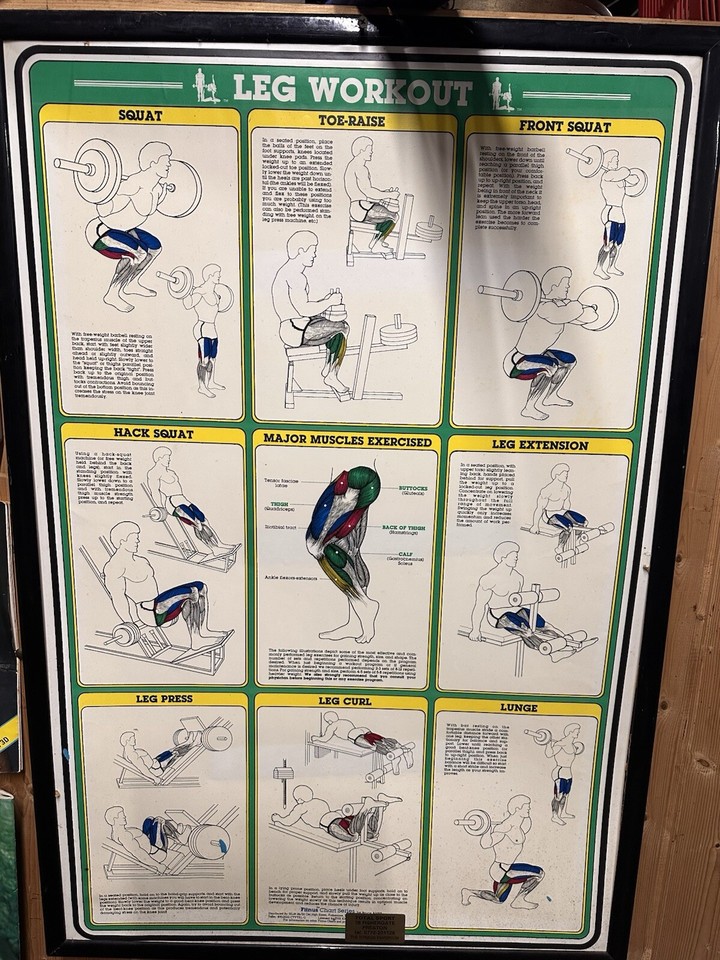 6 X BARBELL GYM WORKOUT EXERCISE POSTERS IN FRAMES | eBay UK