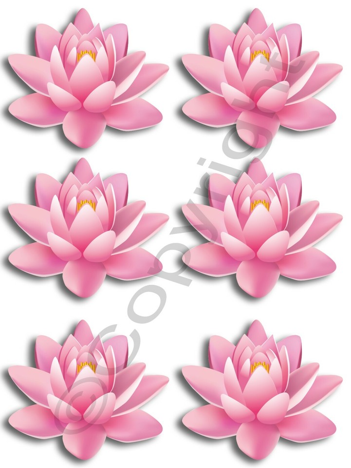 Pink Lilly's Flower Car Stickers Graphics Nursery Wall Decorations Art ...