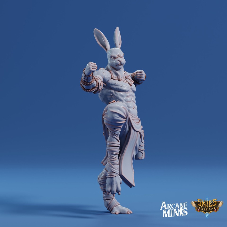 Rabbitfolk Monk Pose 1 | D&D Miniature Dungeons and Dragons Warrel ...