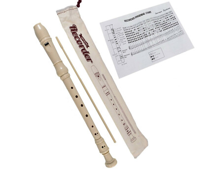 Music Recorder Retro Instrument & Cleaning Rod with Storage Bag and ...