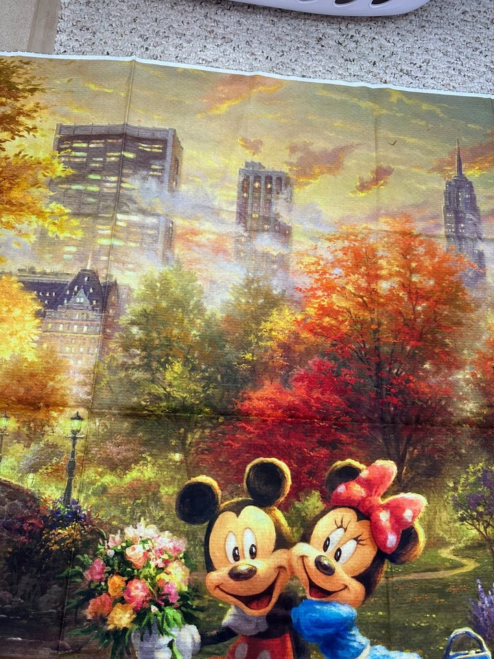 Disney Fabric Panel Mickey and Minnie Sweetheart Central Park by ...