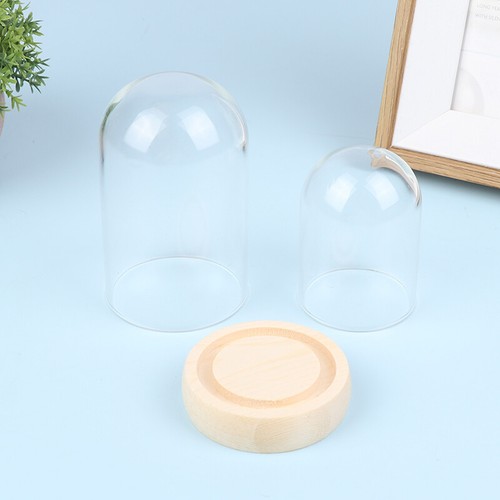Flower Glass Cover With Wooden Base Cover For Succulent Plants Home ...
