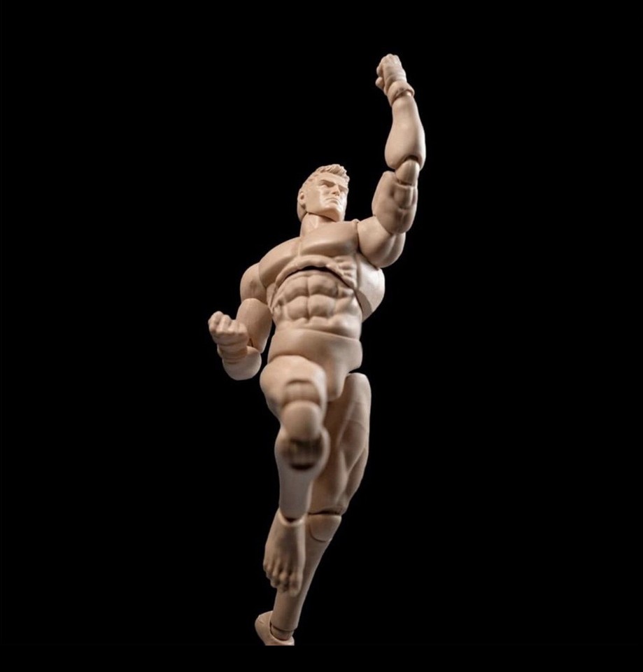 New GW Toys G-001 Male Figure Body 1/12 Scale Action Figure for Custom ...
