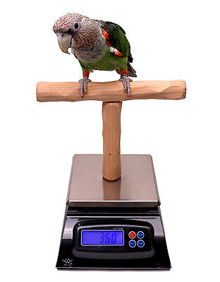 Parrot Scale - Parrot Wizard NU Perch Parrot Training Scale for ...