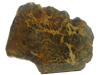 595 GRAMS PENTOXYLON JURASSIC INJUN CREEK FORMATION PETRIFIED WOOD ...