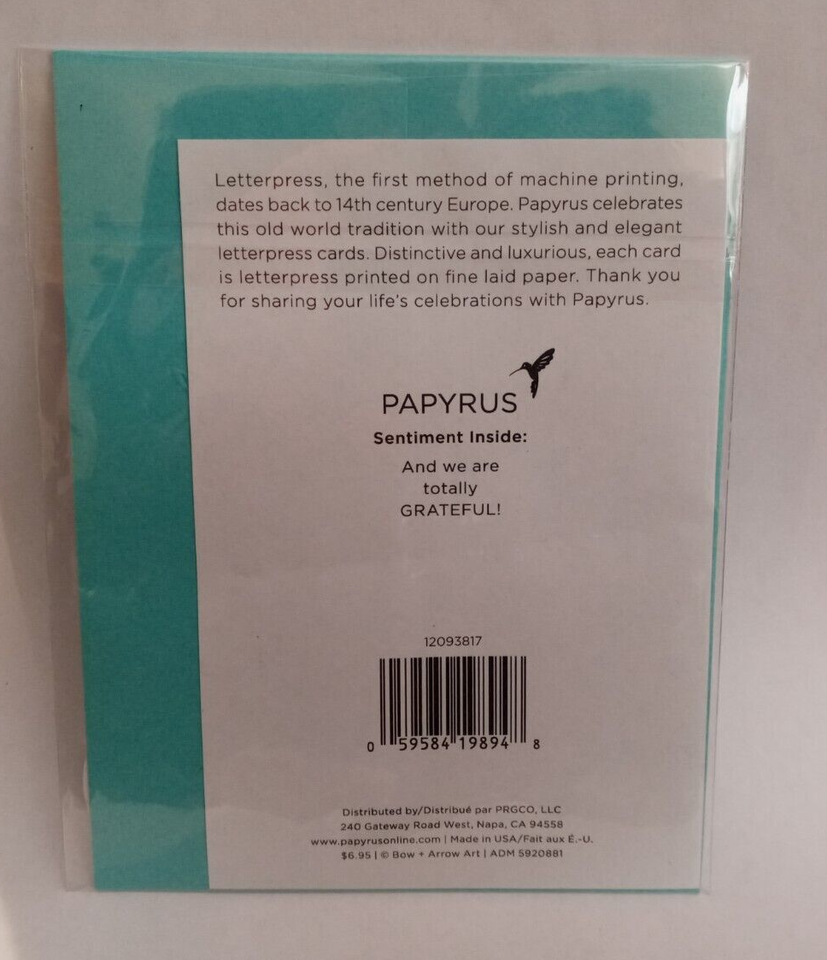 Papyrus Thank You Greeting Card w/Envelope "You Are Totally Awesome ...