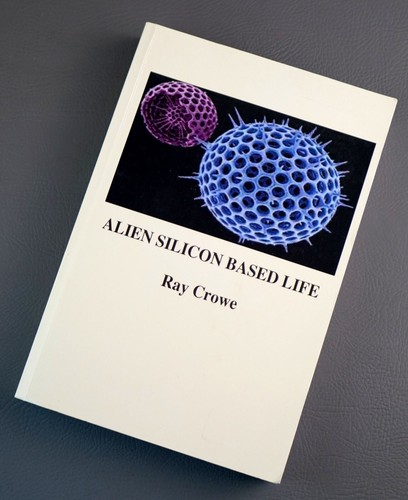 Alien Silicon Based Life | Ray Crowe | 2015 | eBay
