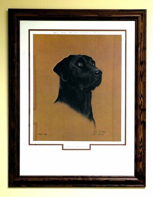 Black Labrador Matted Framed Print Signed by Artist Bob Carney 1977 | eBay