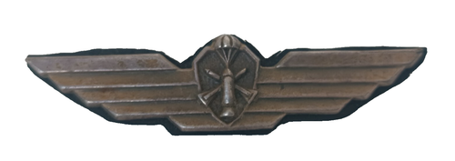 ISRAEL ARMY ZAHAL AIRCRAFT WEAPON SYSTEM OPERATOR WINGS PIN BADGE IDF ...