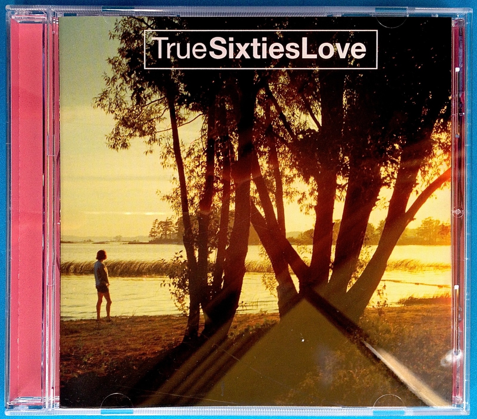 TRUE SIXTIES (CD, Spectrum Music 2006) Burt Bacharach-Walker Brothers ...