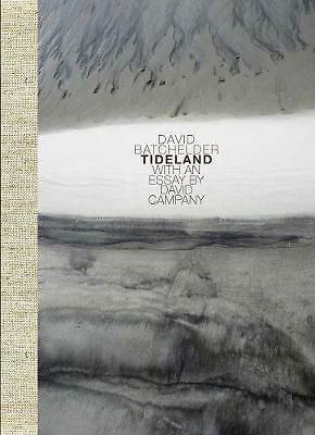 David Batchelder: Tideland (Hardcover, 2015) for sale online | eBay