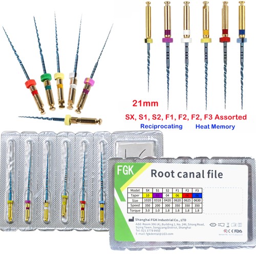 6Pcs Dental Endo Rotary Files Engine Use NITI Root Canal SX-F3 21MM ...