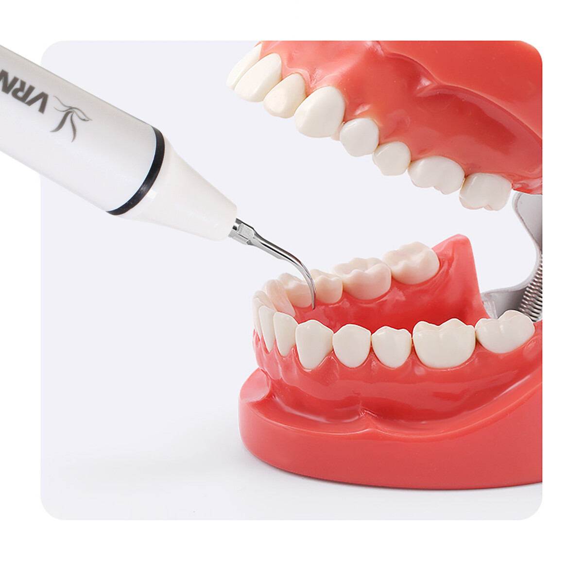VRN Dental Ultrasonic Scaler Unit Scaling Perio Tips with Handpiece 5 ...