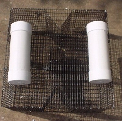 Large Perch Trap with Vinyl Coated Wire and Floats - Size: 23" x 23 ...
