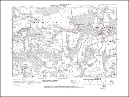 Hambledon in 1920 - old map Surrey 38-SE | eBay UK