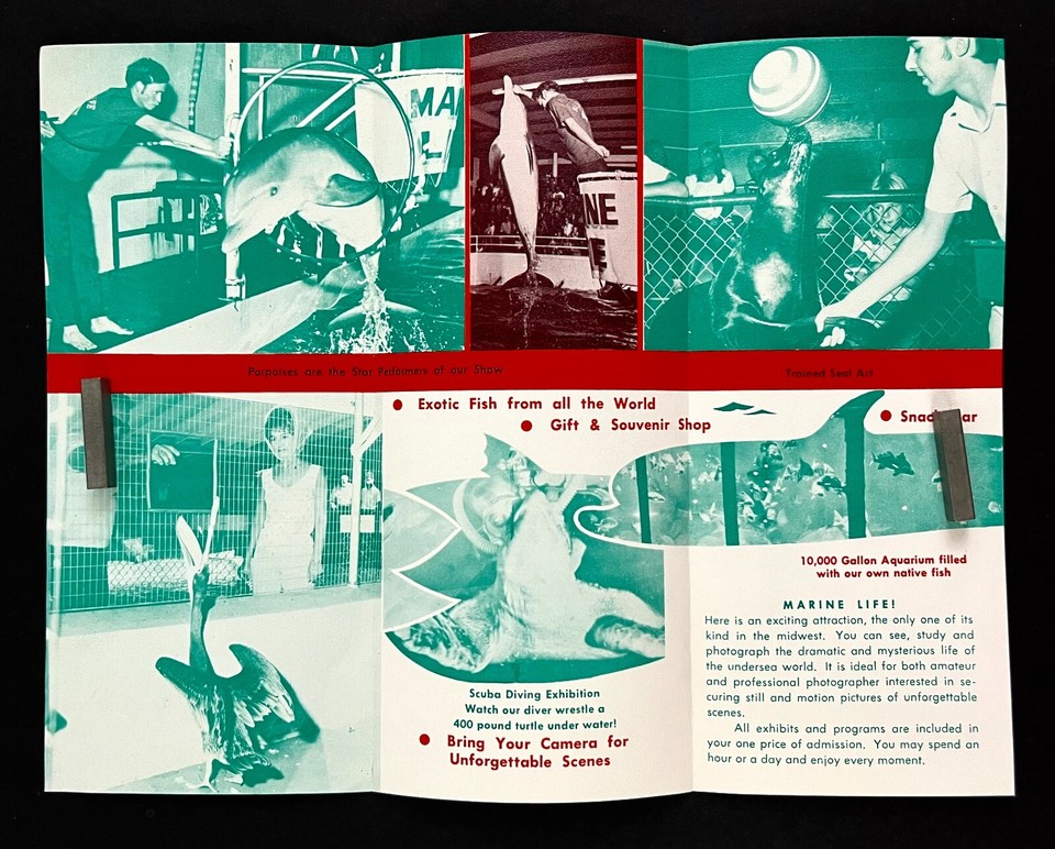 1960s Rapid City South Dakota Marine Life Porpoise Show Vintage Travel ...