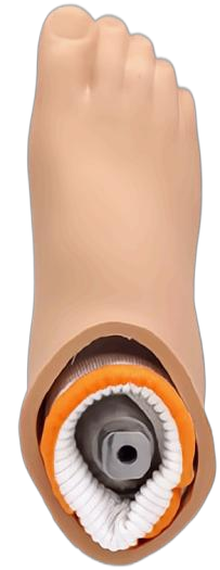 Foot shell customized size 22-28 foot cover （Excluding Prosthetic Foot ...