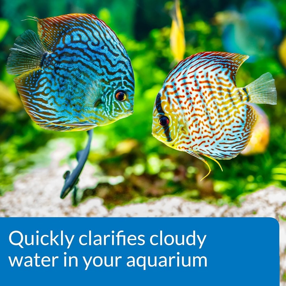 API ACCU-CLEAR CLEARS CLOUDY WATER TROPICAL FRESHWATER AQUARIUM FISH ...