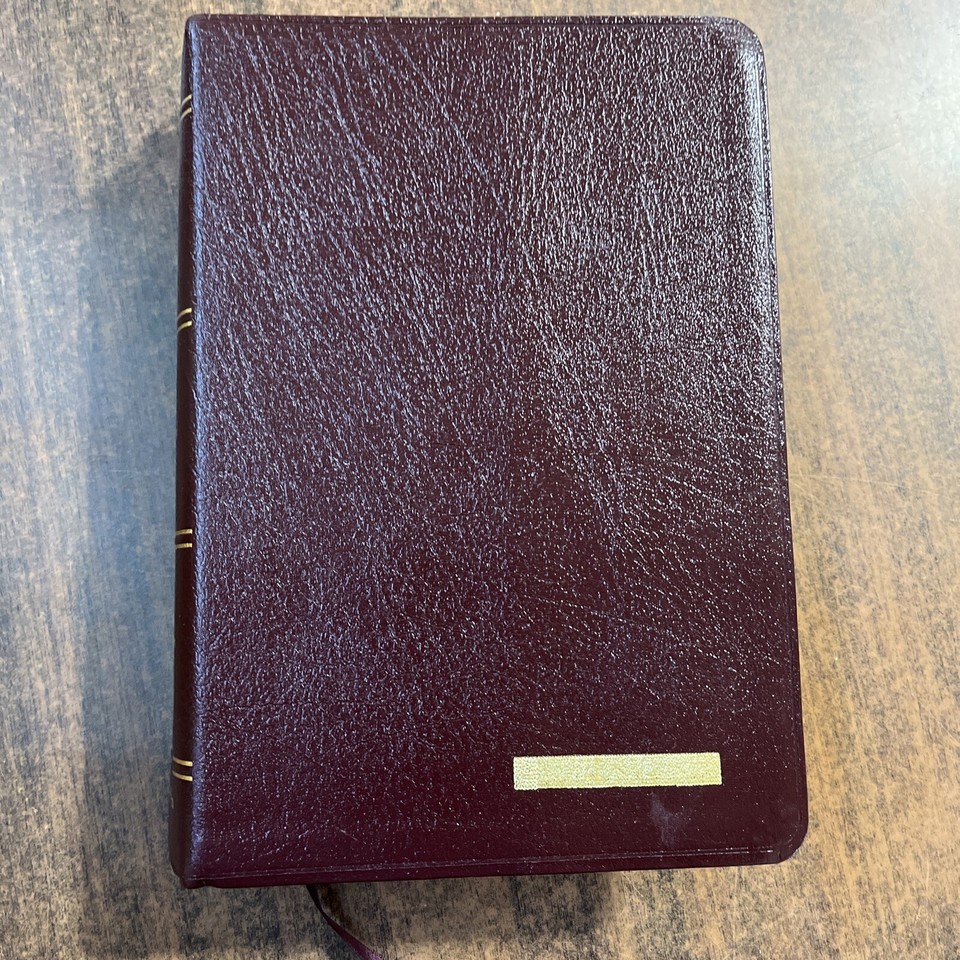 NIV 1984 Large Print Study Bible Thumb Indexed - Burgundy Bonded ...