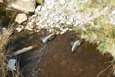 Photo 6x4 Boots in a Stream near Ffestiniog. Gellilydan Losing one boot ...