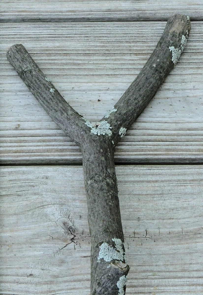 Wooden Stick Branch