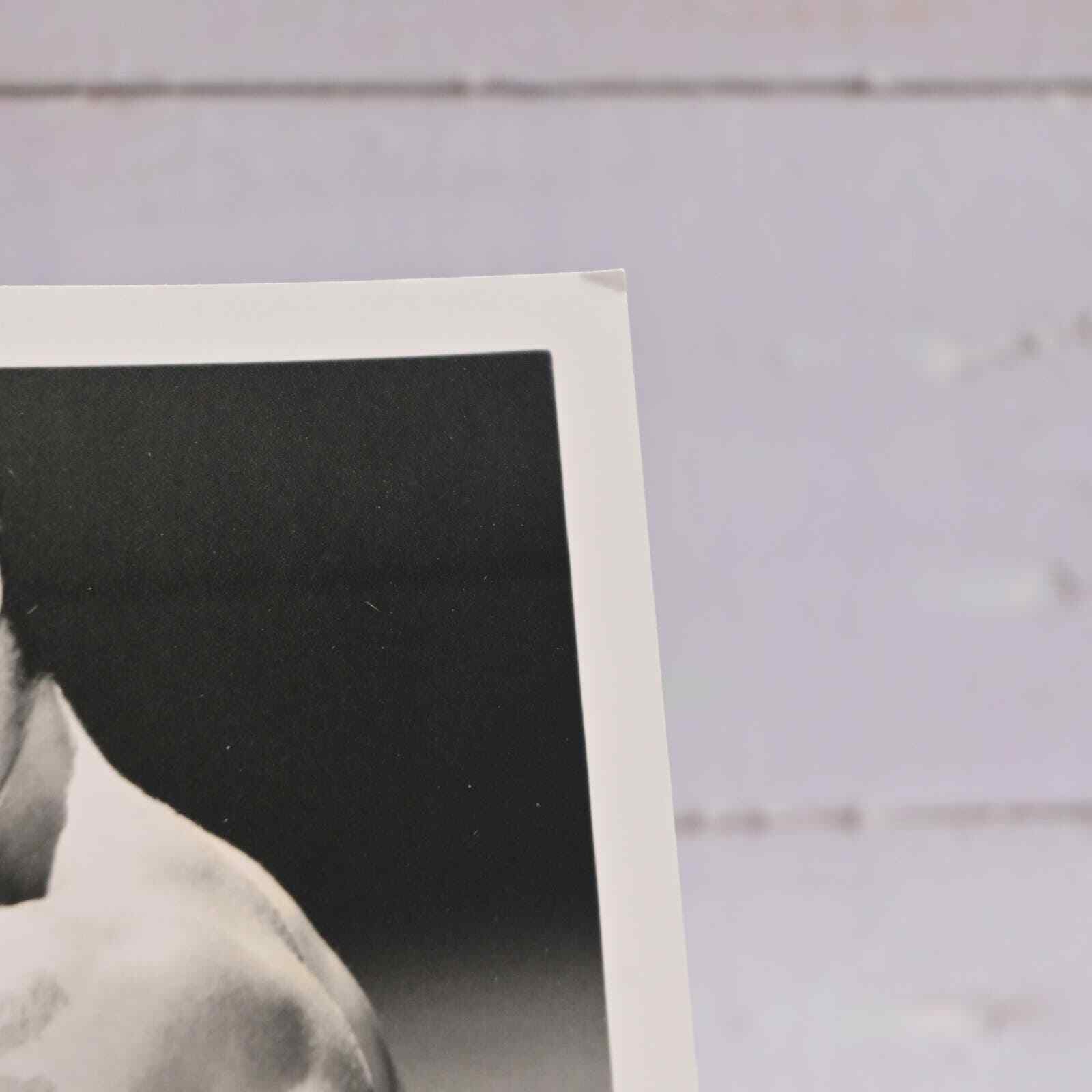 Vintage Original Colt Studio Tim Rawlins B&W Photo Session 5x7 | eBay