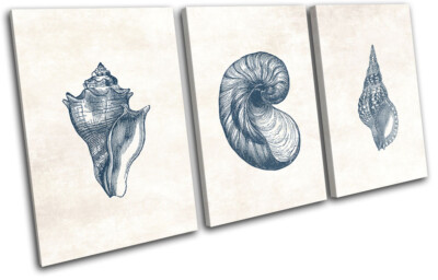 Sea Shells Nautical Bathroom TREBLE TELA parete arte foto stampa | eBay
